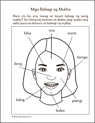 Mga Bahagi ng Mukha at Katawan, atbp. Worksheets - Samut-samot
